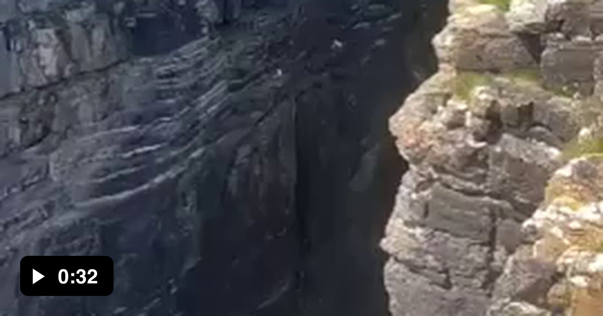 Guy jumping off a huge cliff in Scotland. And almost lands on a bird ...