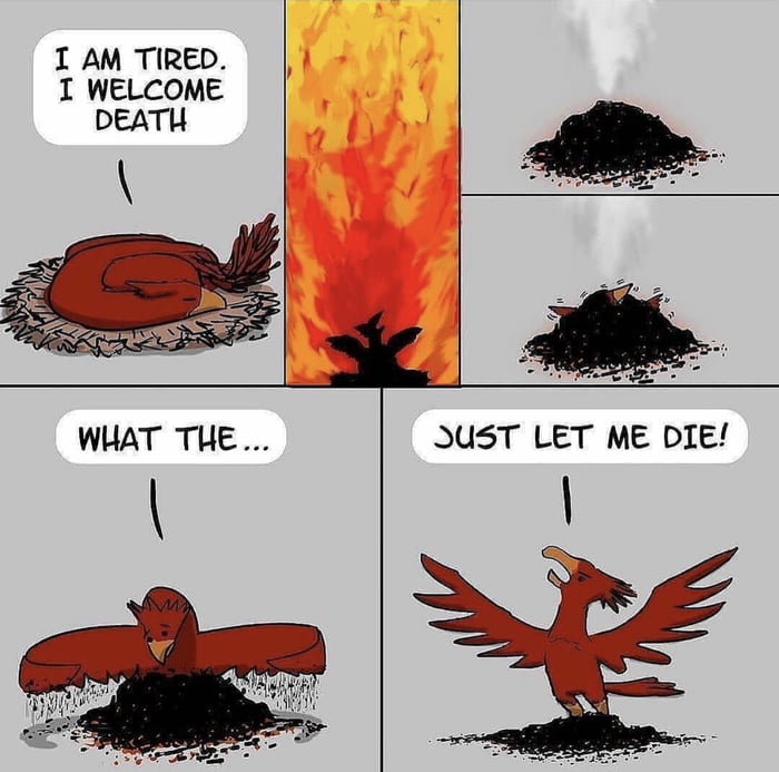 Not easy being a Phoenix - 9GAG