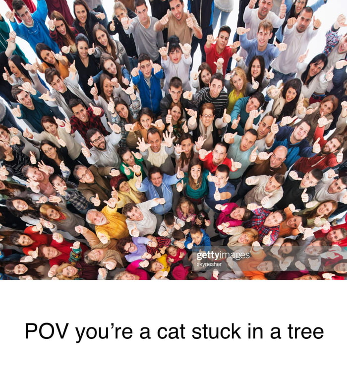 Here kitty kitty kitty - 9GAG