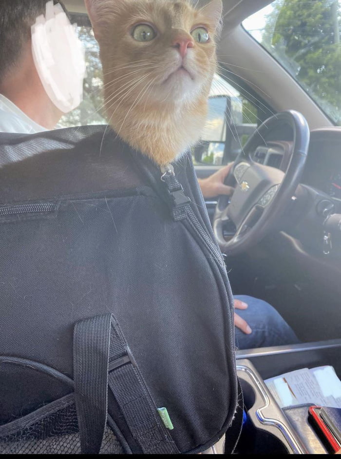 He cannot be contained - 9GAG