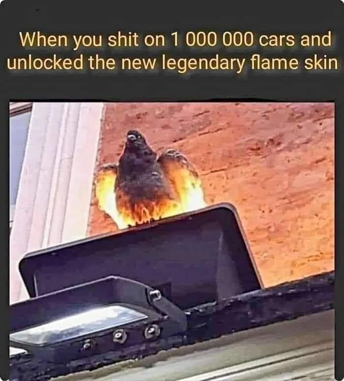 Legendary shitbird - 9GAG