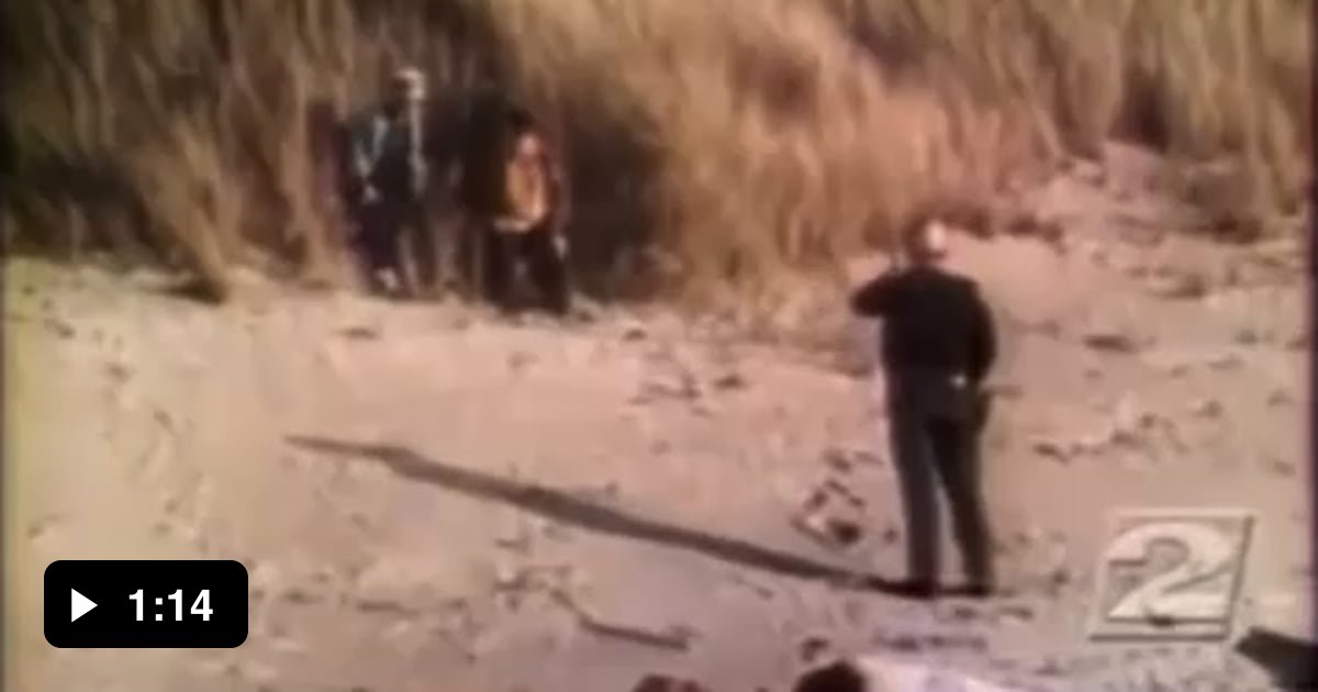 Happy international exploding whale day. (1:14) - 9GAG