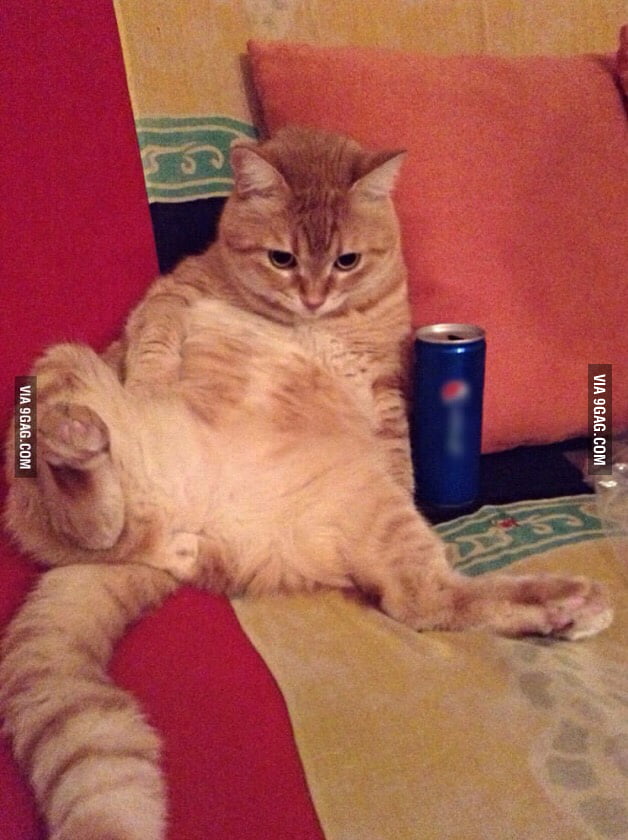 Hey man what's up? Nothing, just chillin. - 9GAG