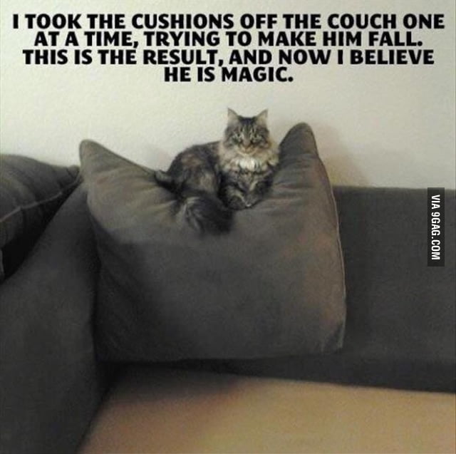 Magic Kitty - 9GAG