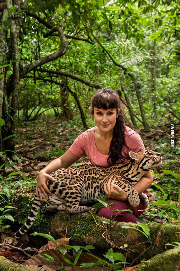 A young ocelot and his caregiver. - 9GAG