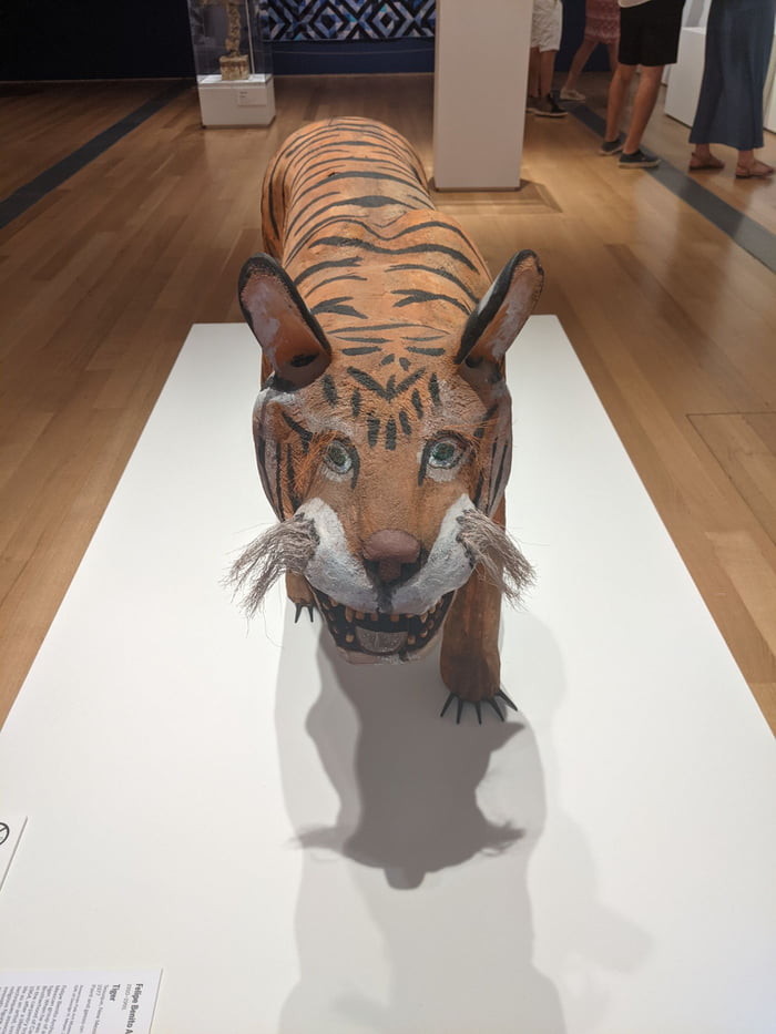 The derp tiger is real!!!! - 9GAG