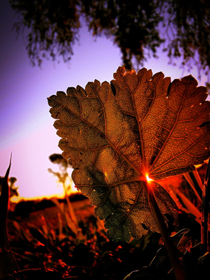 Leafing through some photo's - 9GAG