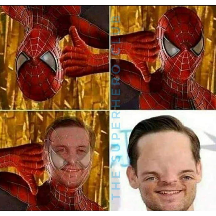 Spuderman. - 9GAG