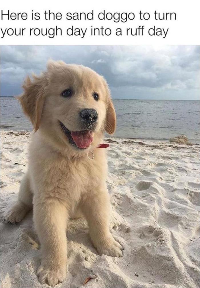 Allow your eyes a short break from the cringe and look at this adorable ...