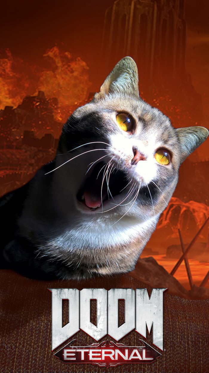 Cat eternal - 9GAG