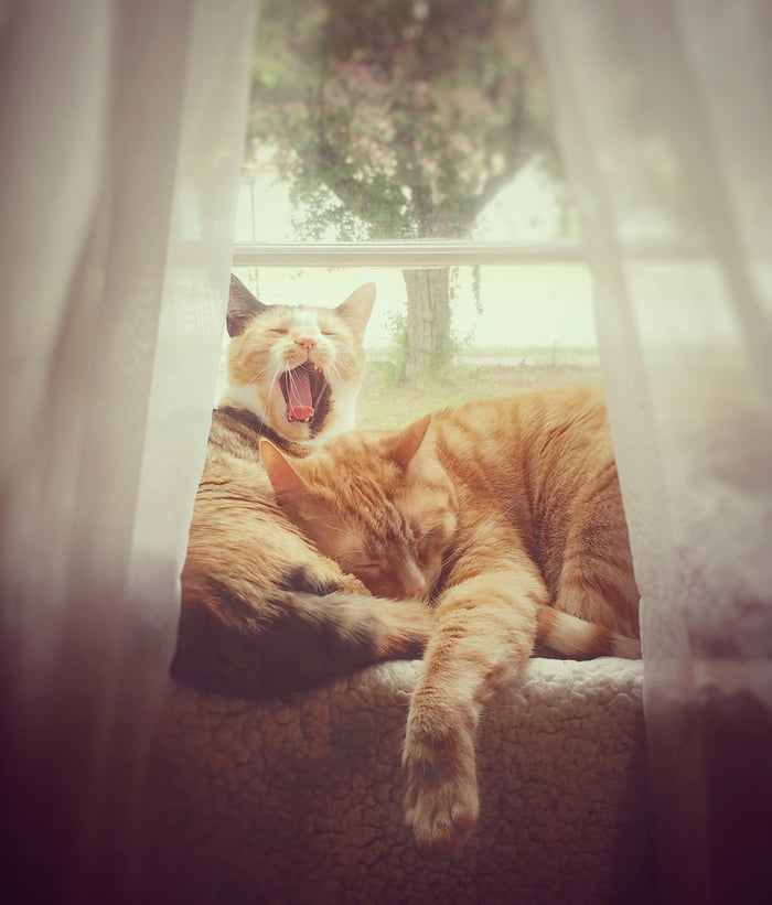 Maybe life ain't too heck. - 9GAG