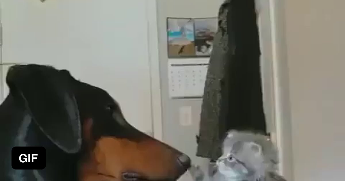 Lets play dammit - 9GAG