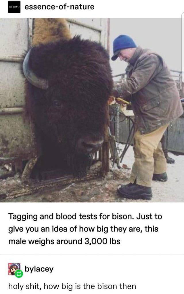 Well, it’s very big. - 9GAG