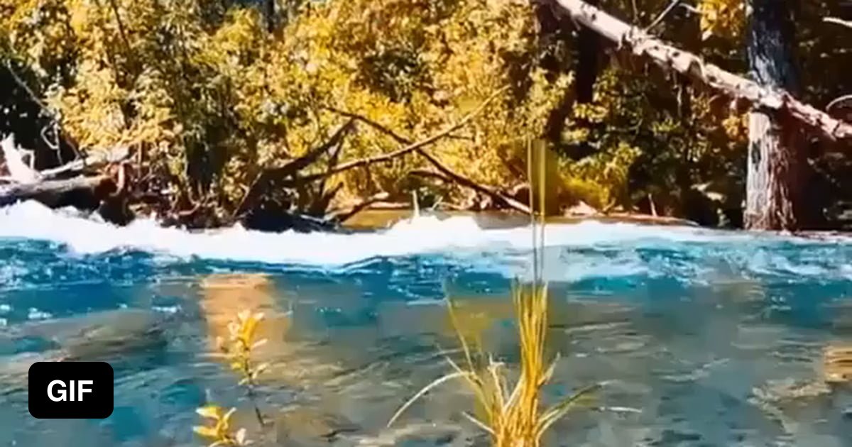 This insanely clear river in Alaska - 9GAG