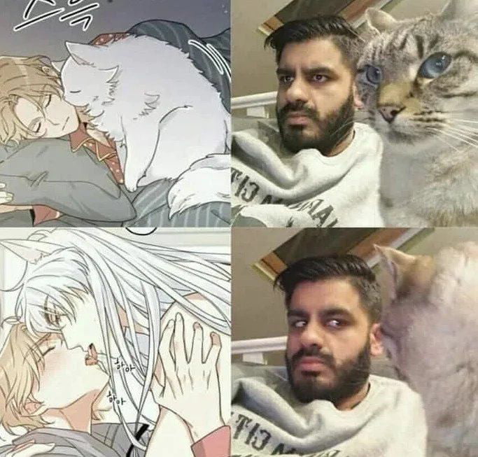 Weebs, weebs everywhere. - 9GAG