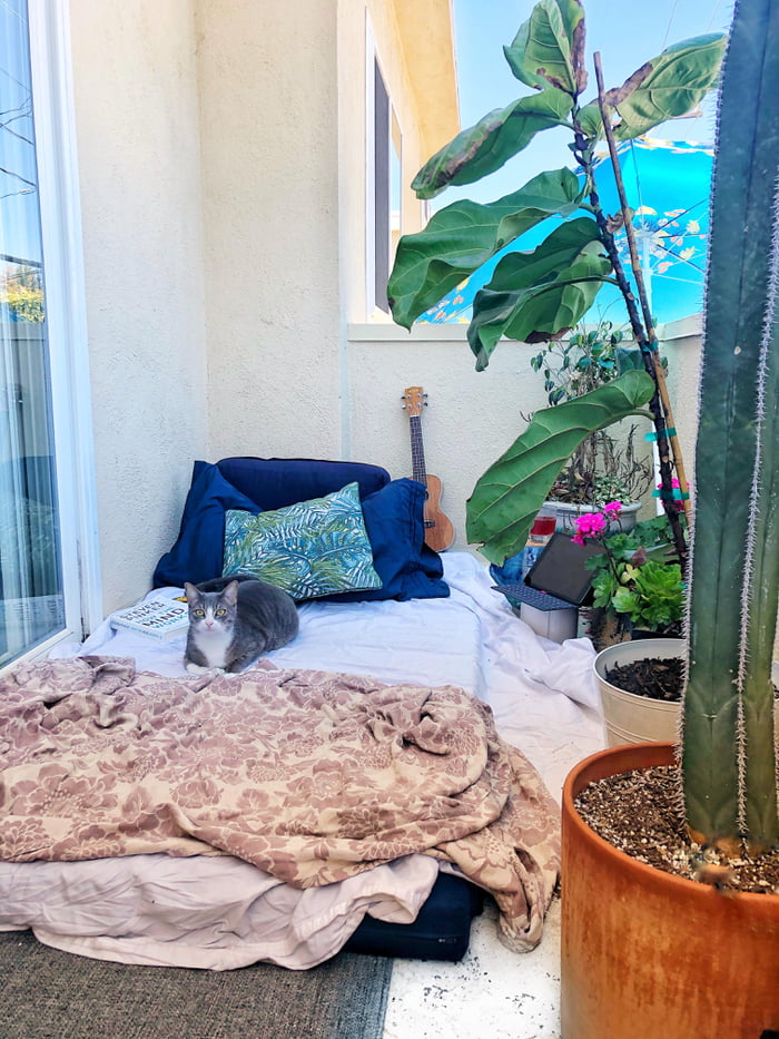 Balcony + camping mattress = quarantine heaven - 9GAG