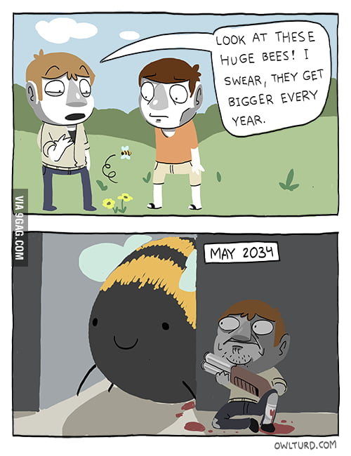 Bee apocalypse - 9GAG