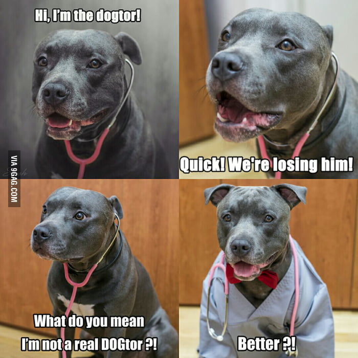Well, fu*k you vet! - 9GAG