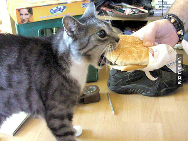 Only one small bite... - 9GAG