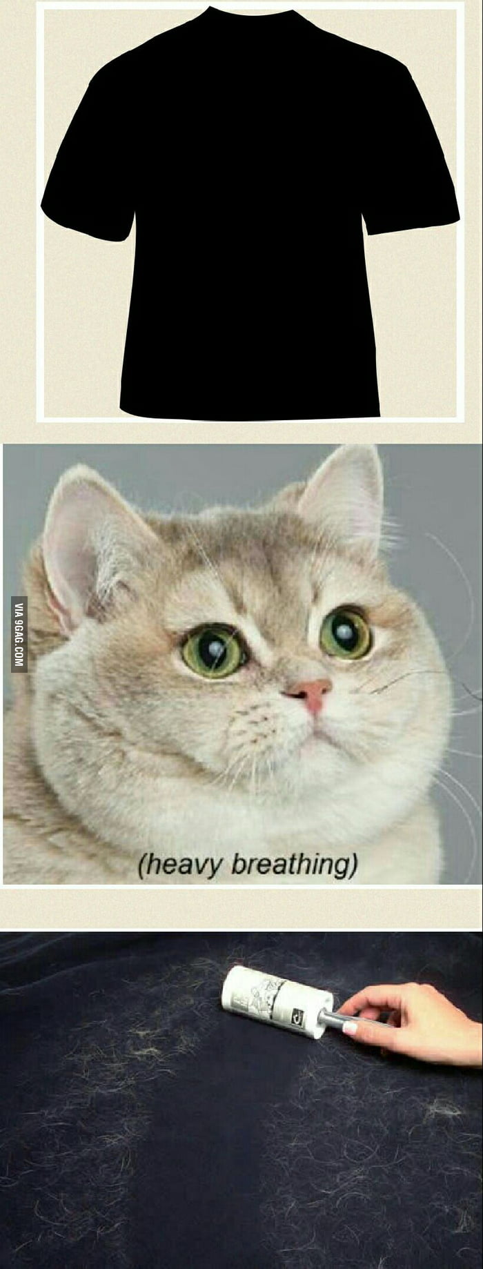 Cat owners will know - 9GAG
