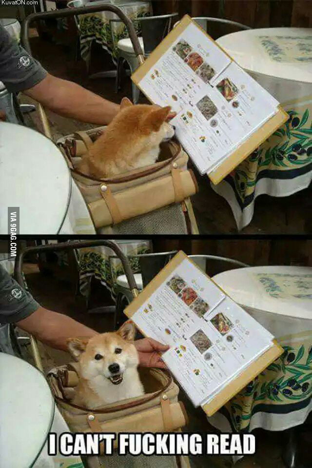 Doge can't read... - 9GAG