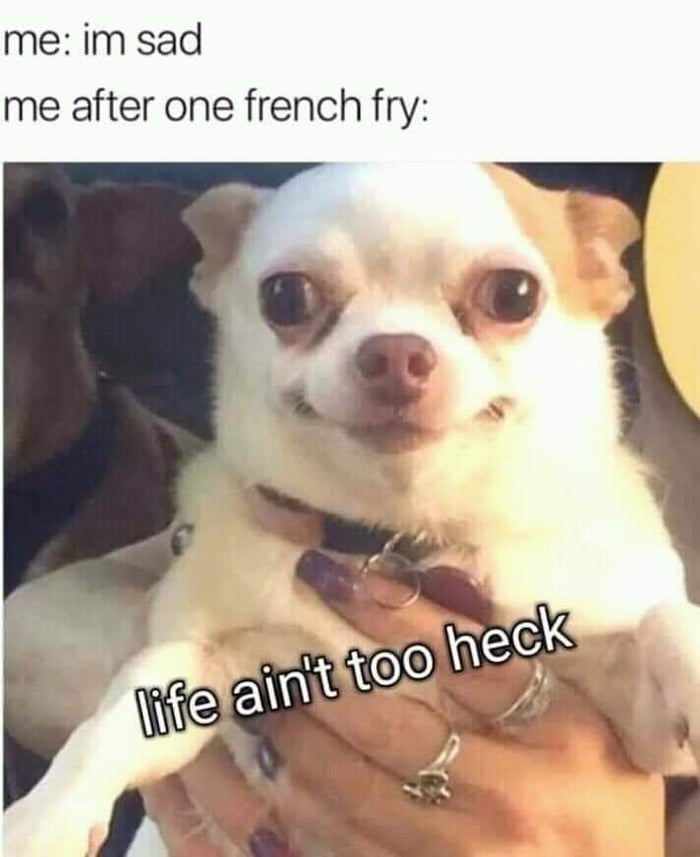 Life ain't too heck! - 9GAG