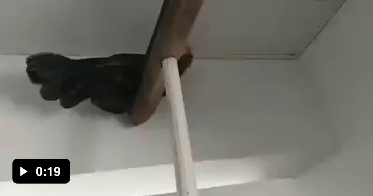 Debugging for non-programmers - 9GAG