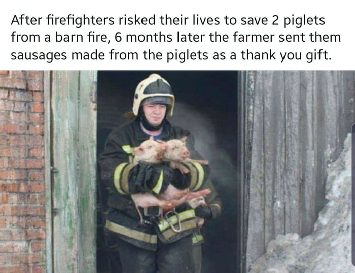 Short Story : Firefighters & The Two Little Piglets - 9GAG