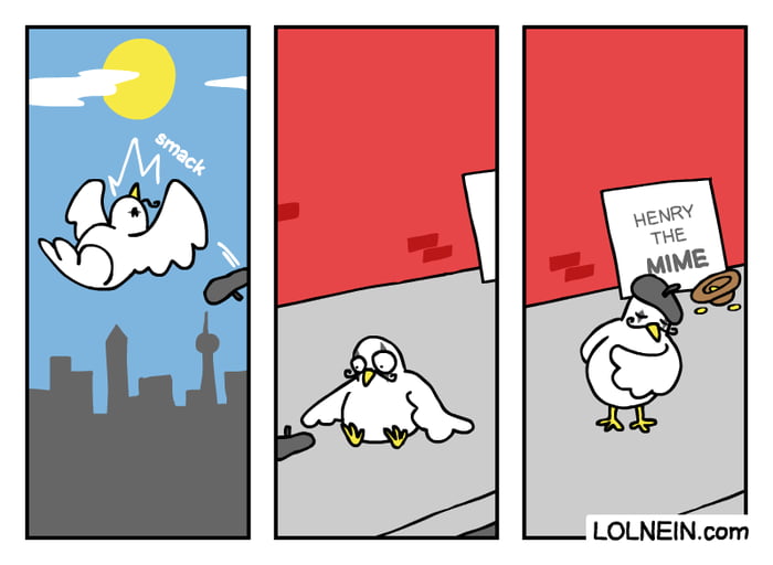 Bird Strike - 9GAG