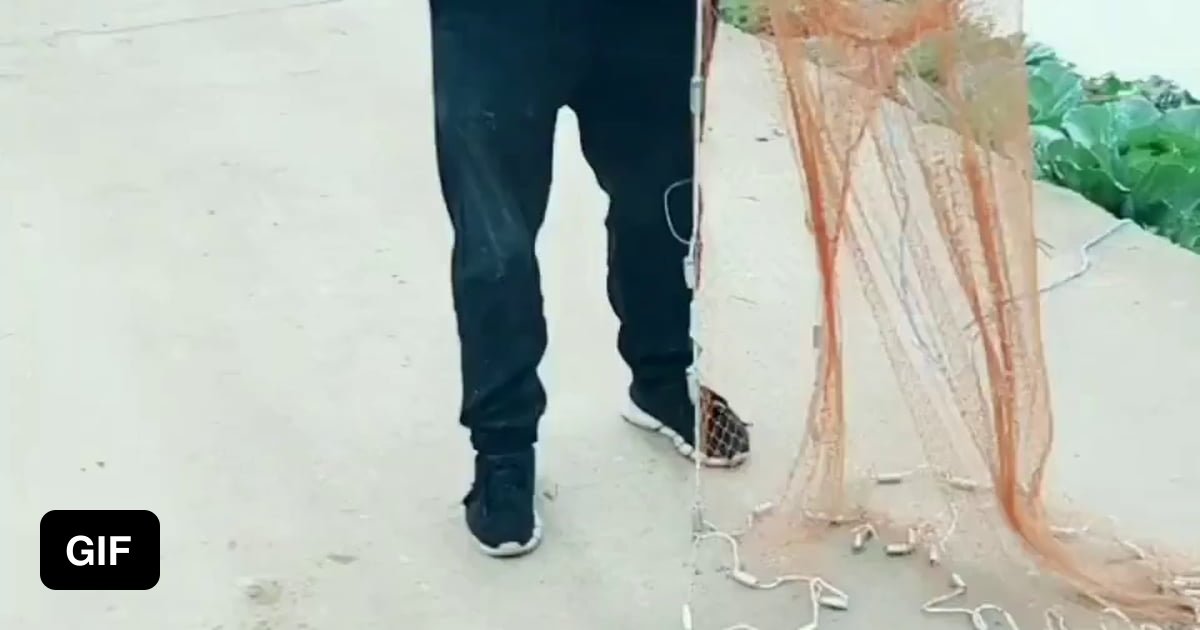 Threw it a little short - 9GAG