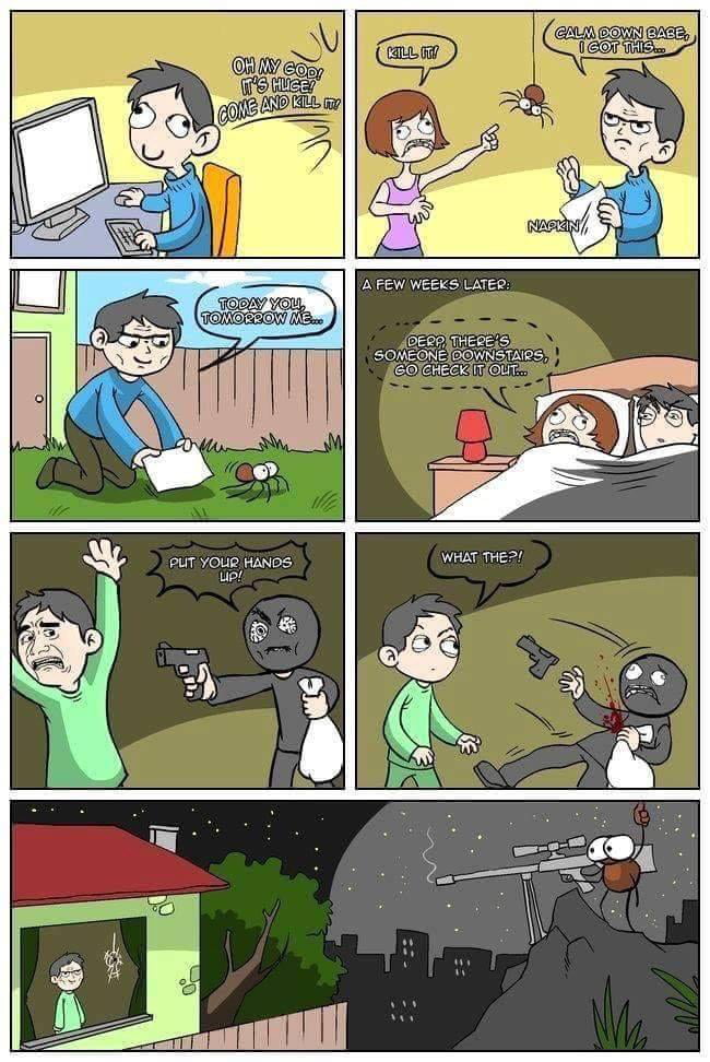 This is why you don’t kill spiders - 9GAG