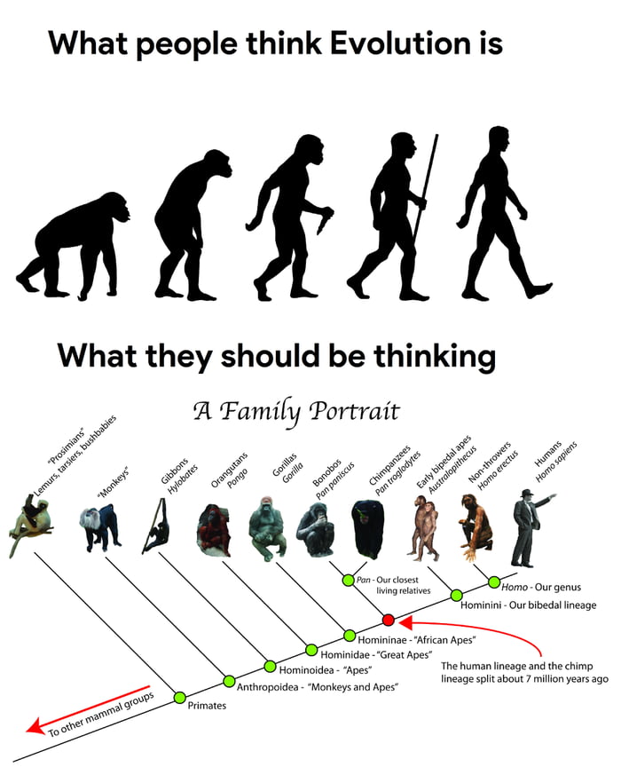 We are all Banana inside - 9GAG