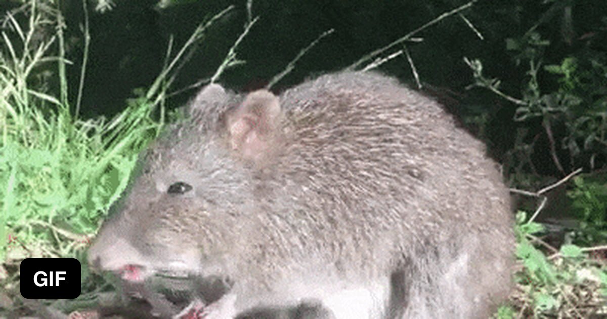 Take a closer look. - 9GAG