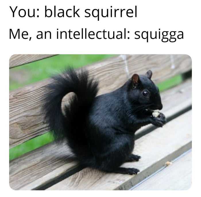 Was up my squigga - 9GAG