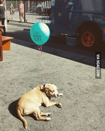 This dude is just chillin' and complimenting everyone - 9GAG