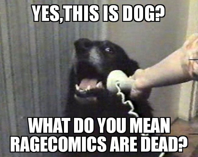 Good old dog.I miss the old memes. - 9GAG