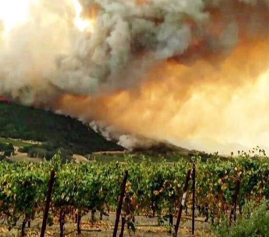 This is the iconic Windows xp wallpaper burning down in the recent ...