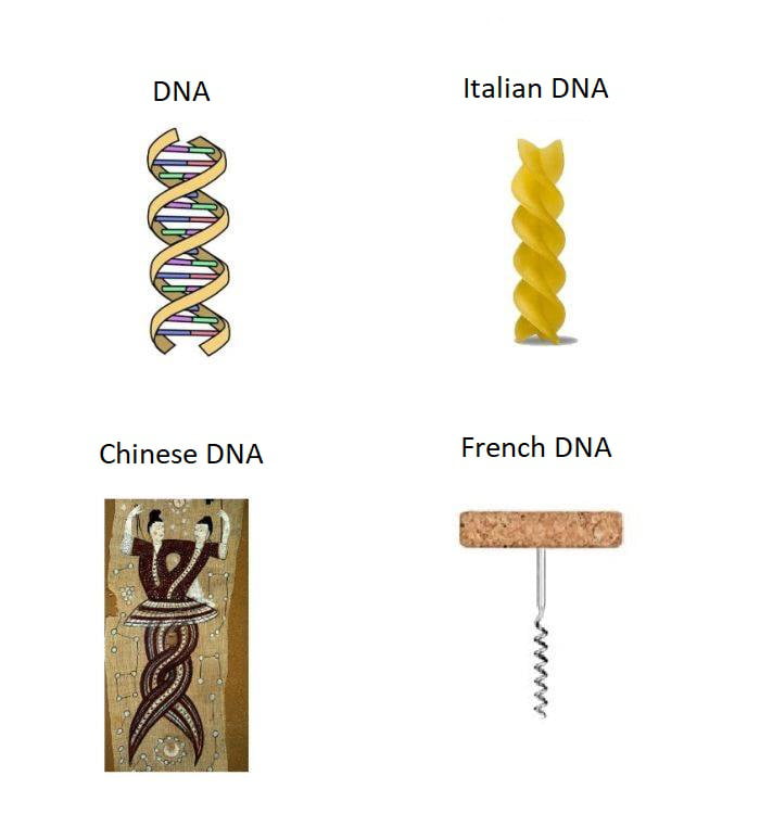 Types of DNA - 9GAG