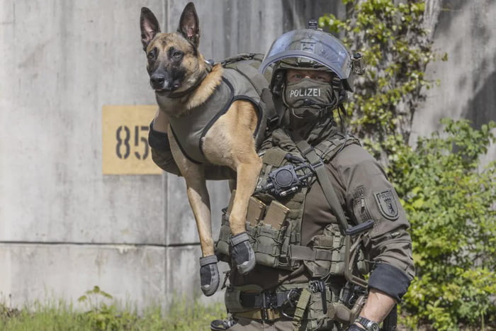 German special forces - 9GAG