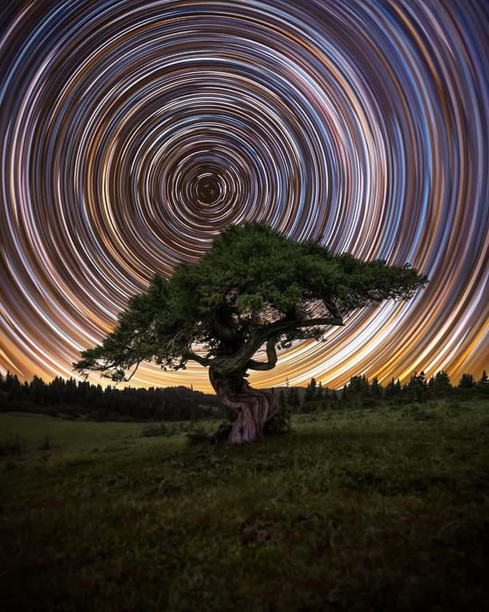Star trail photography is a technique that captures the apparent motion ...