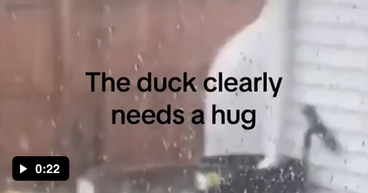 He’s a bit Dramatic - 9GAG