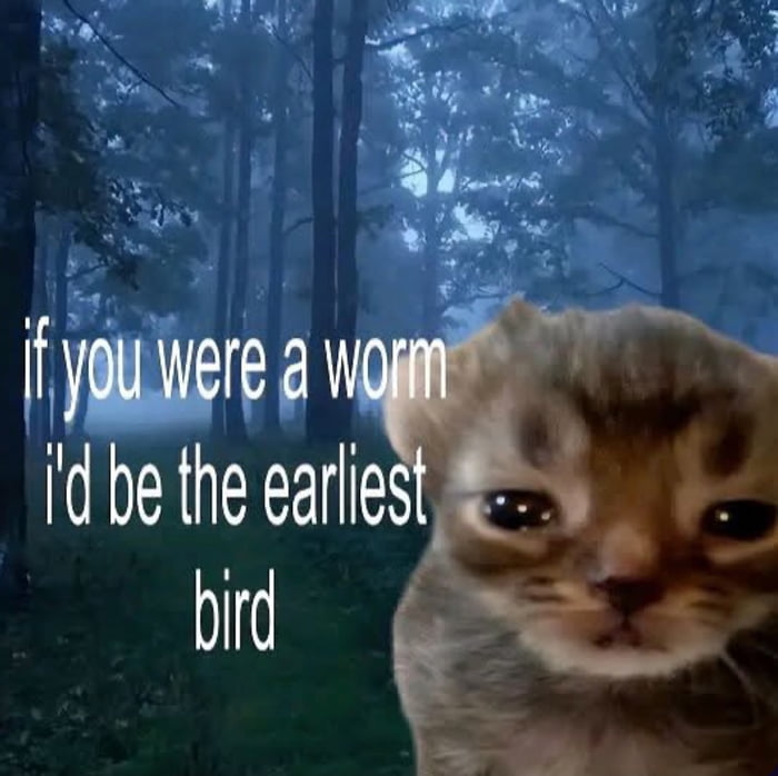 Guess I'm an early bird with rizz - 9GAG