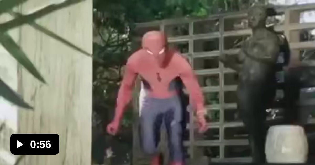 The hero we need but dont deserve - 9GAG