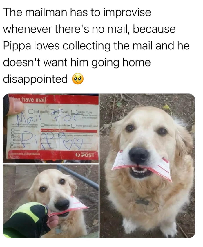 The goodest boy - 9GAG