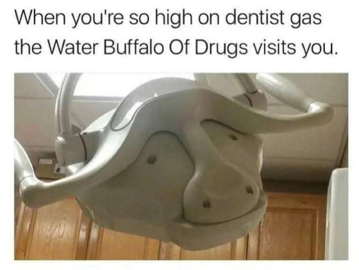 The great white buffalo - 9GAG