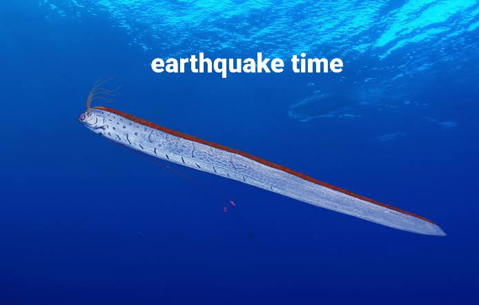 The bad omen fish. - 9GAG