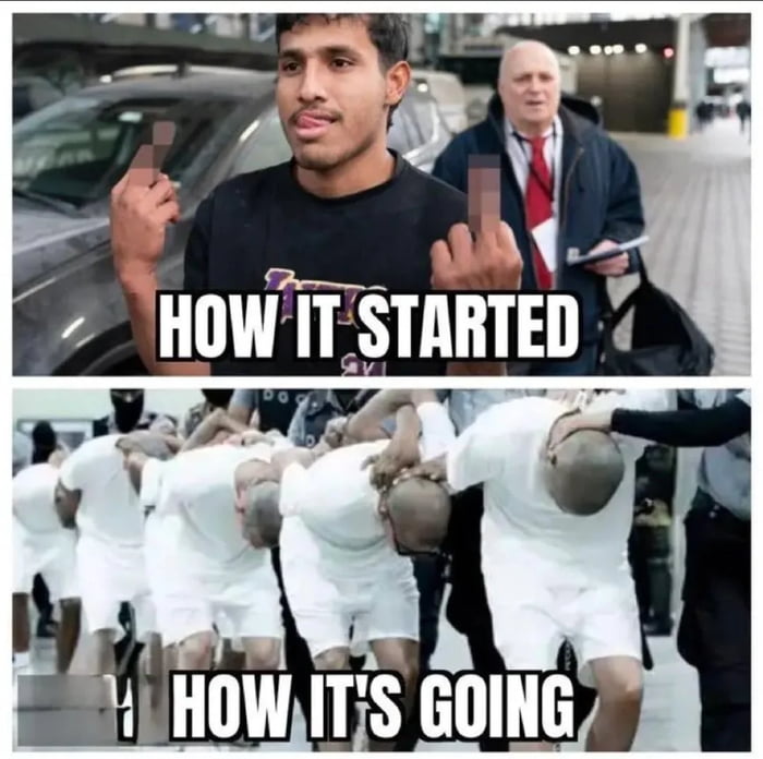 Maybe you should go to Germany. I hear they let illegals do whatever they want. - 9GAG