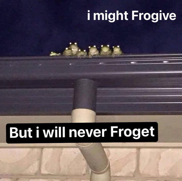 Frogs with a vengeance! - 9GAG