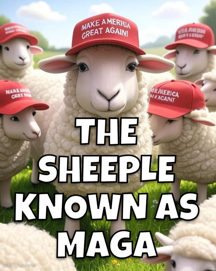 MAGA Sheeple 🐑 - 9GAG