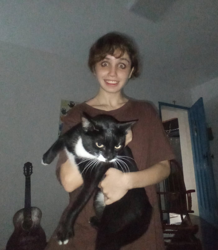 POV: The kidnapper brought you a cat - 9GAG